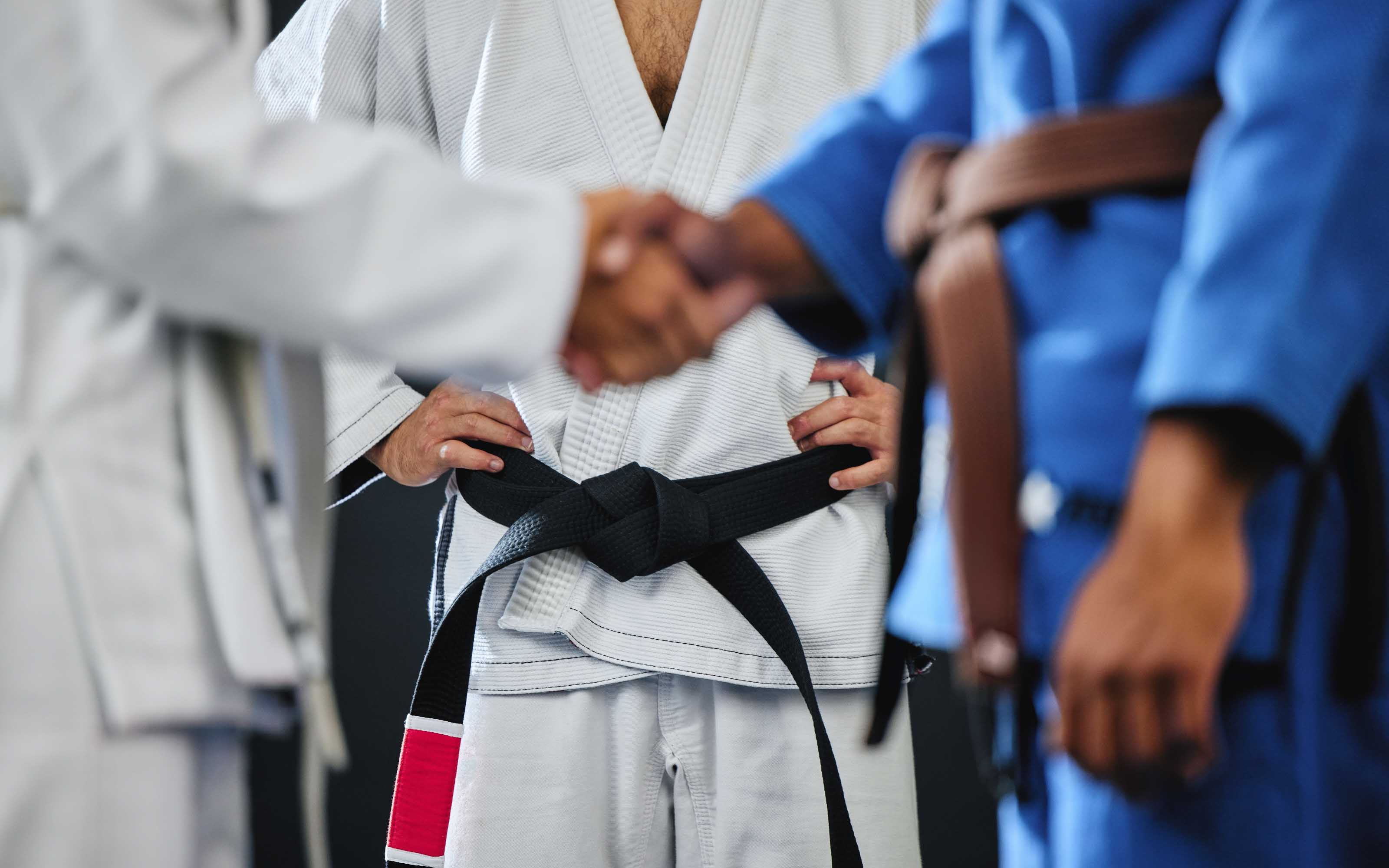 2026 Martial Arts Gear Upgrades, What Equipment Students Are Replacing ...