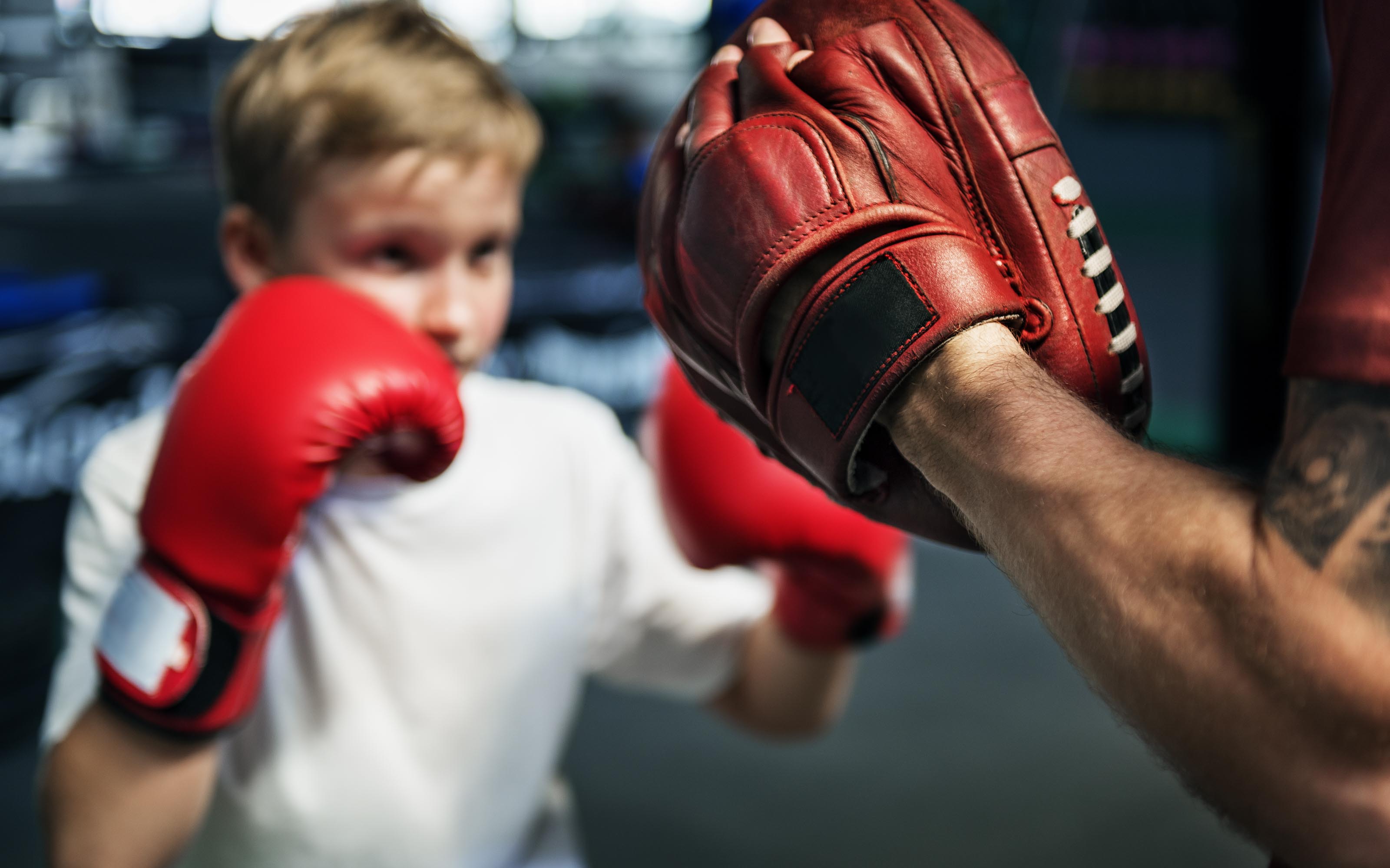 Top Protective Gear for Youth Martial Arts Programs, A Helpful Guide ...